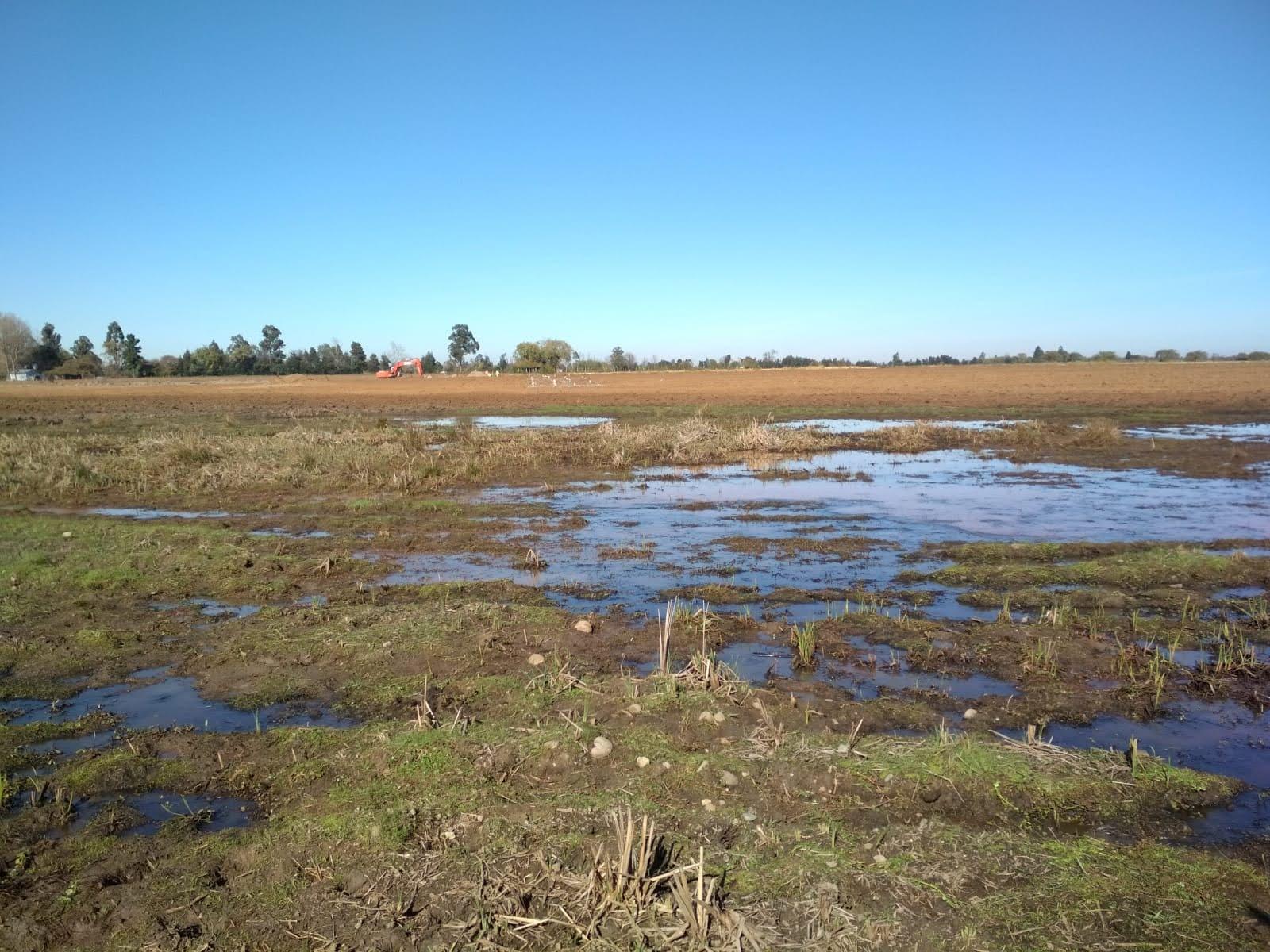 Solek | Projects under implementation | Bicentenario | Solek