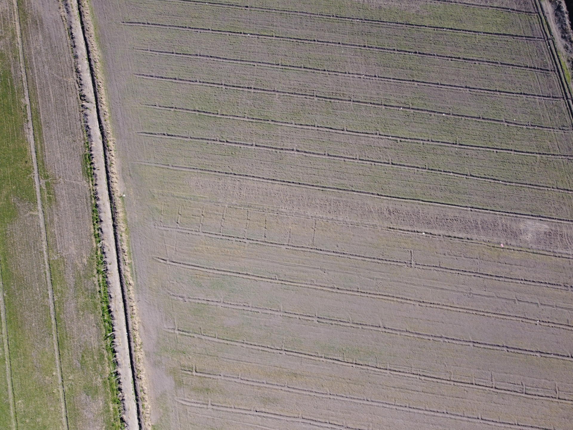 Solek | Projects under implementation | Valparaiso | Solek