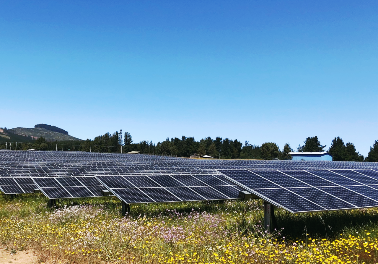 Solek | Proyectos en ejecución | La Alcaldesa | Solek